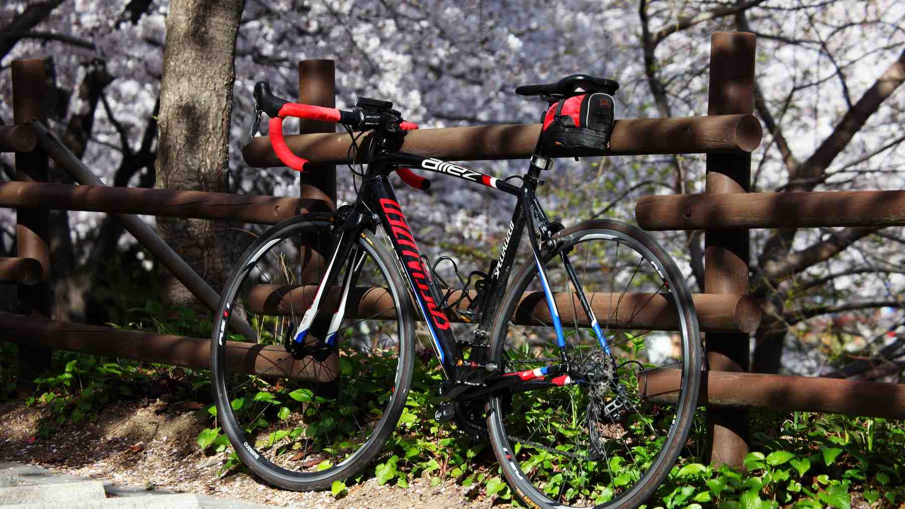Hangul: A Brief History | Writing System’s History | Korea By Bike