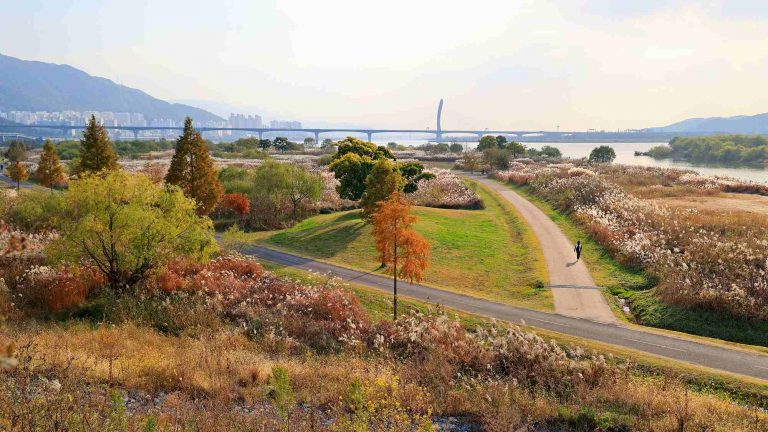 Jeju Fantasy Bicycle Path | Cycling Guide to Korea | Korea By Bike