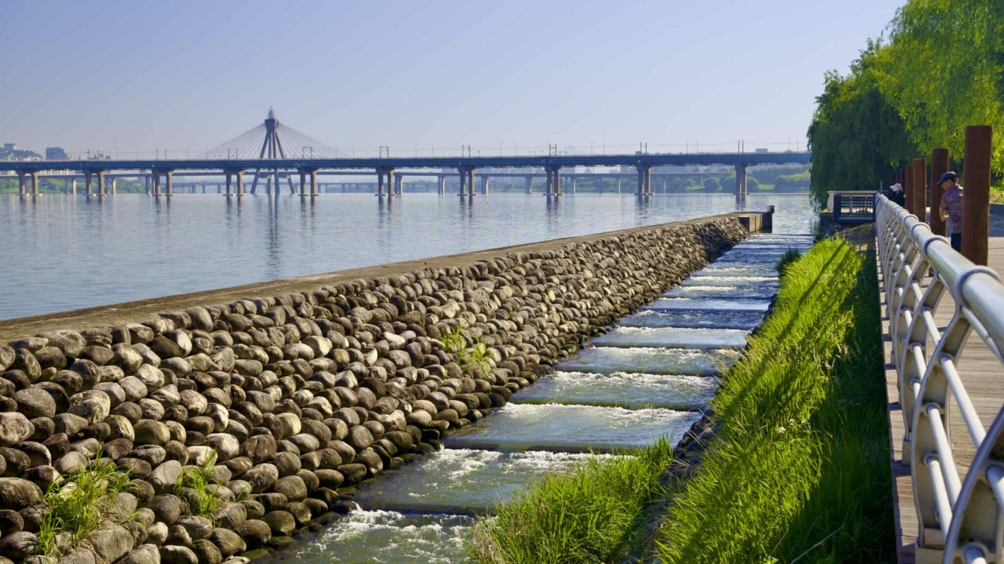 The Han River | Hangang Bicycle Path | Korea By Bike