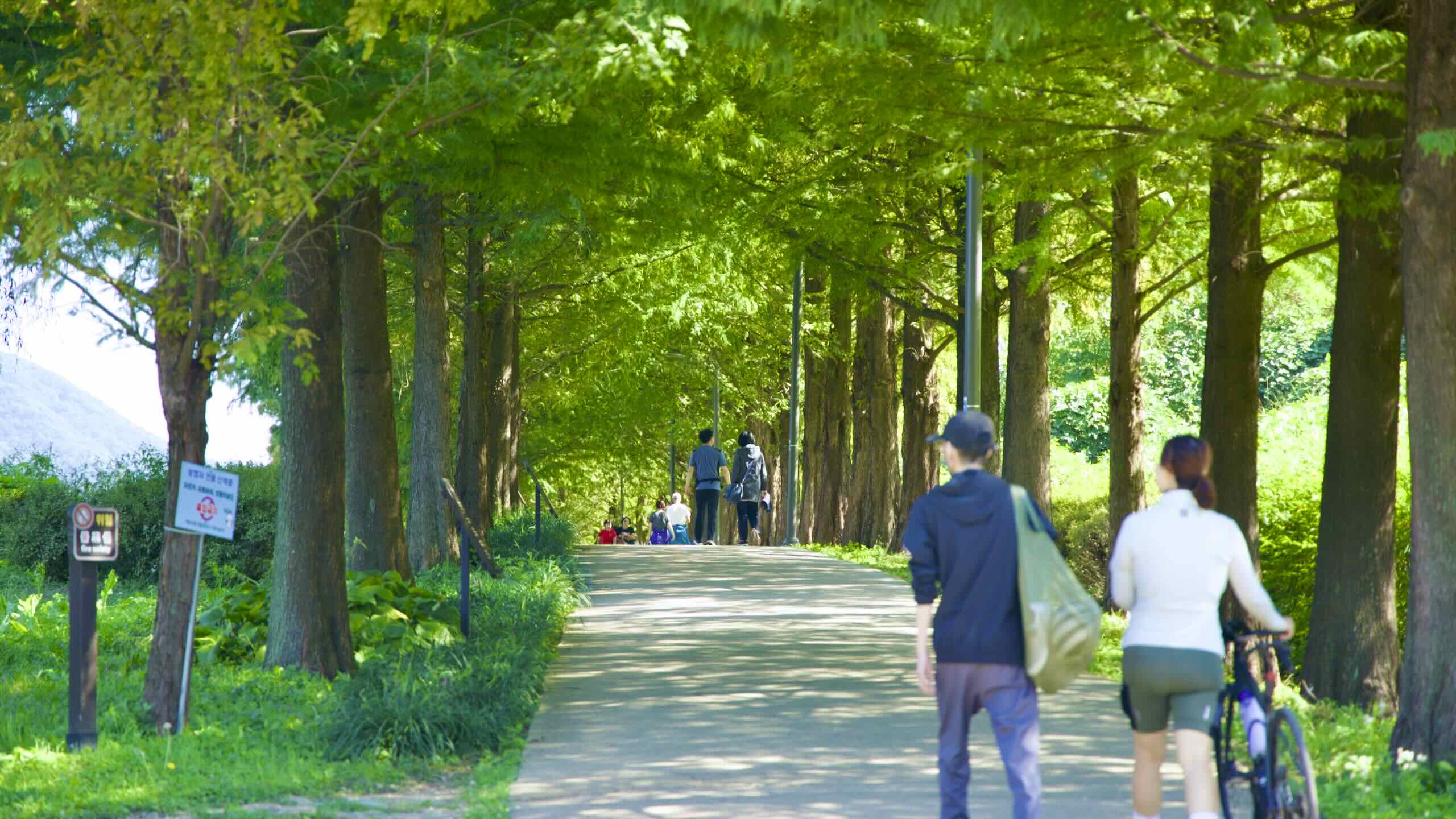 Hanam City | Hangang Bicycle Path | Korea By Bike