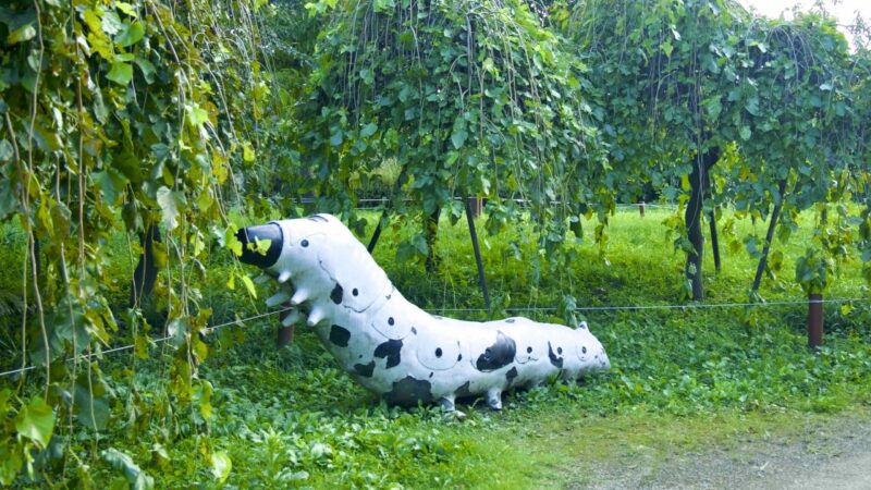 Jamwon Hangang Park | Hangang Bicycle Path | Korea By Bike