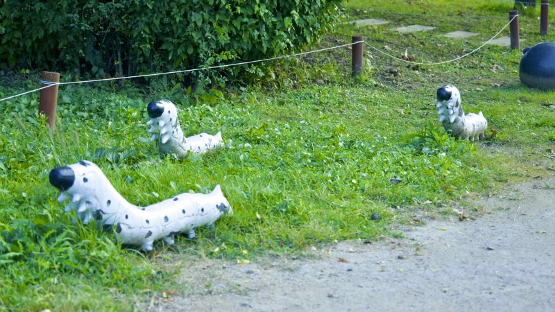 Jamwon Hangang Park | Hangang Bicycle Path | Korea By Bike